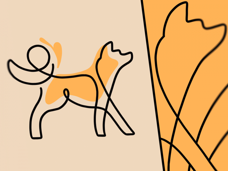 Mastering Lines: 20+ Elegant Line Art Illustrations