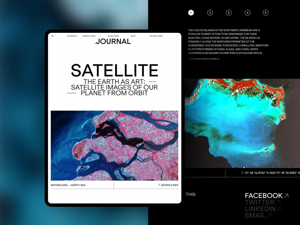 Information Beautified: Media and Editorial Website Designs