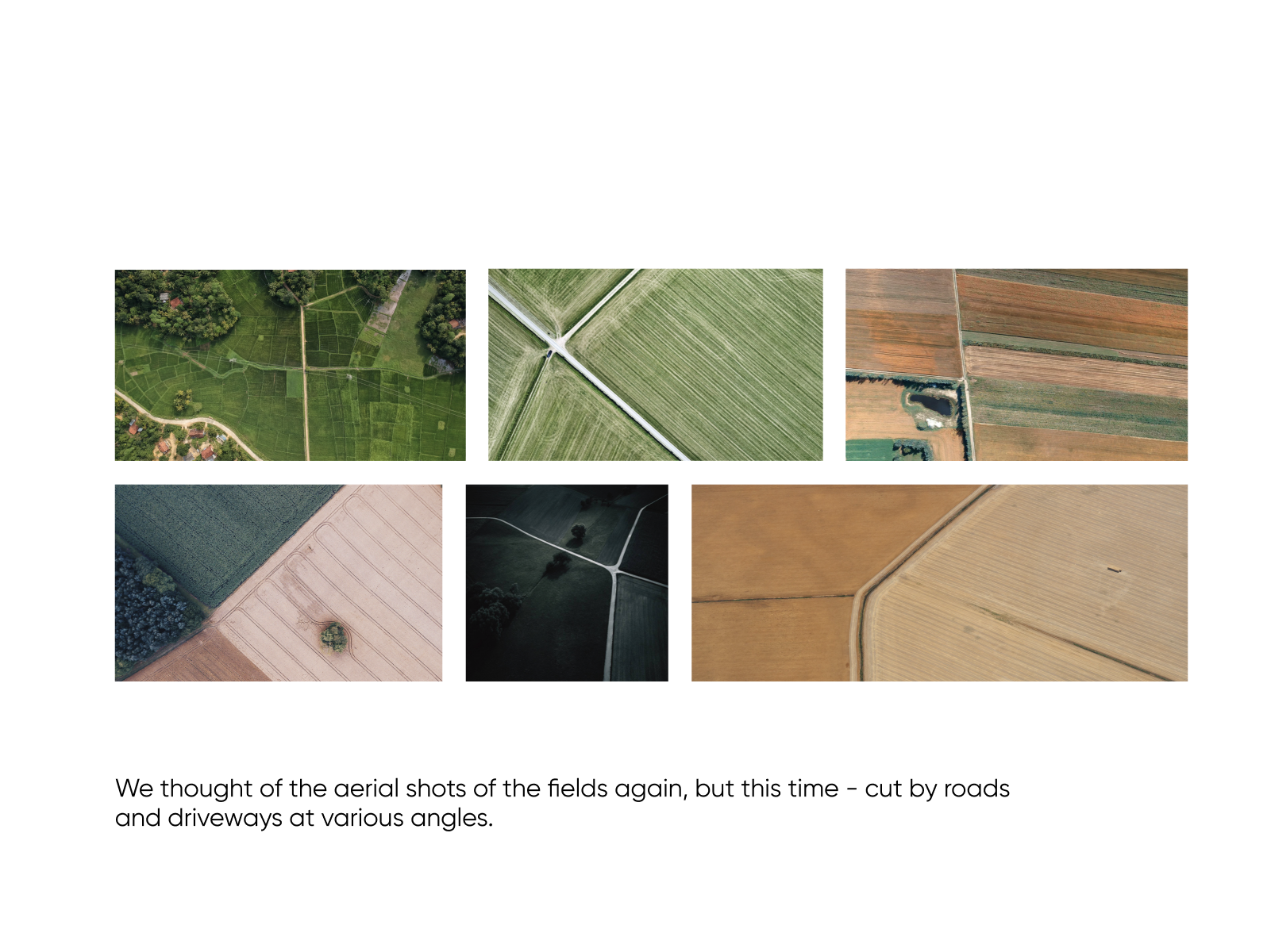 Case Study: FarmSense. Identity and Web Design for Agricultural Technology