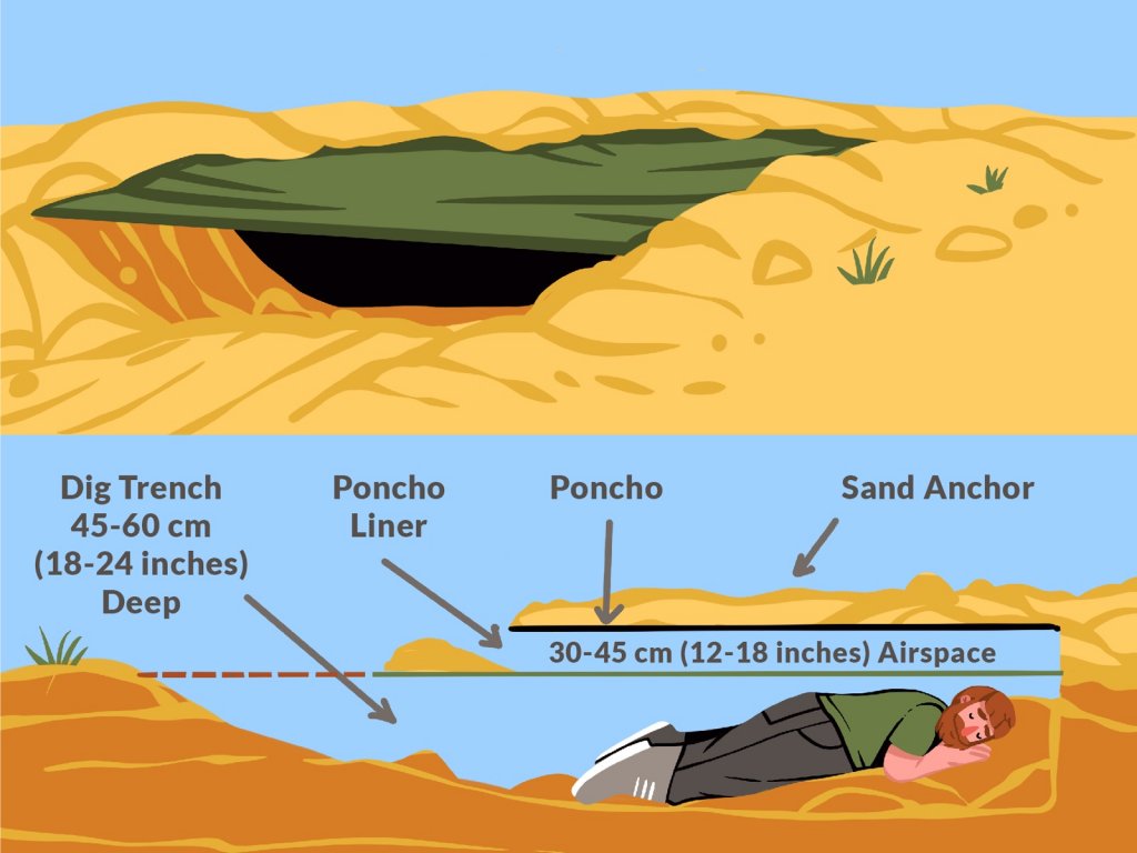 Case Study: Roebuck. Mobile Design and Illustrations for Educational App
