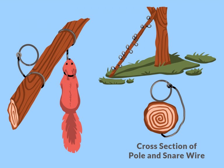 Case Study: Roebuck. Mobile Design and Illustrations for Educational App