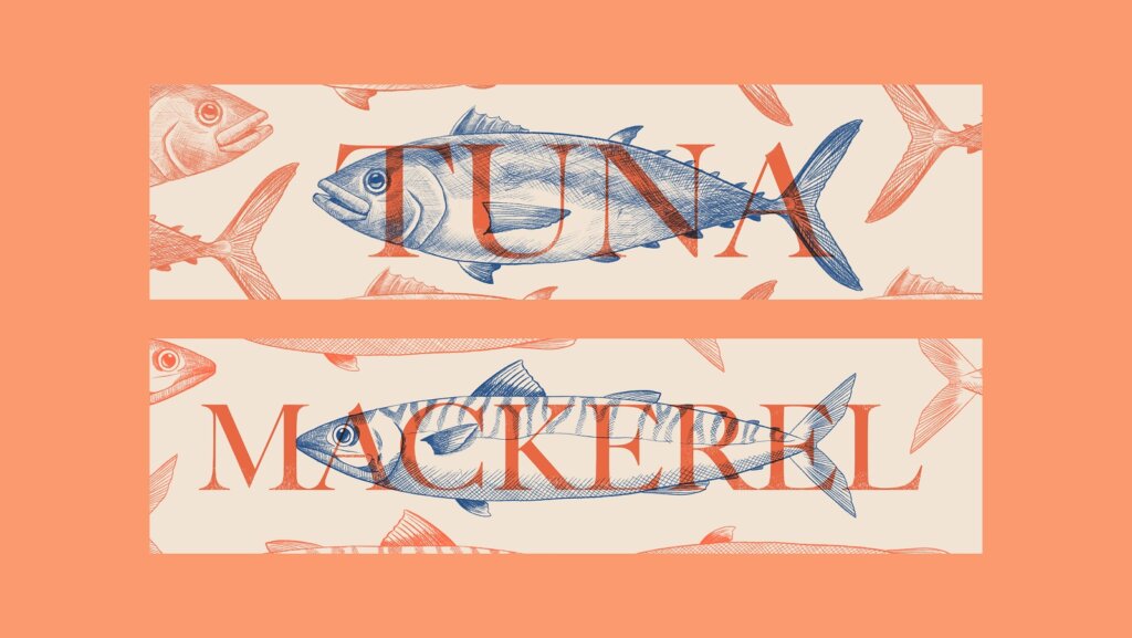 Case Study: PierSide. Packaging Design for Tinned Fish Brand