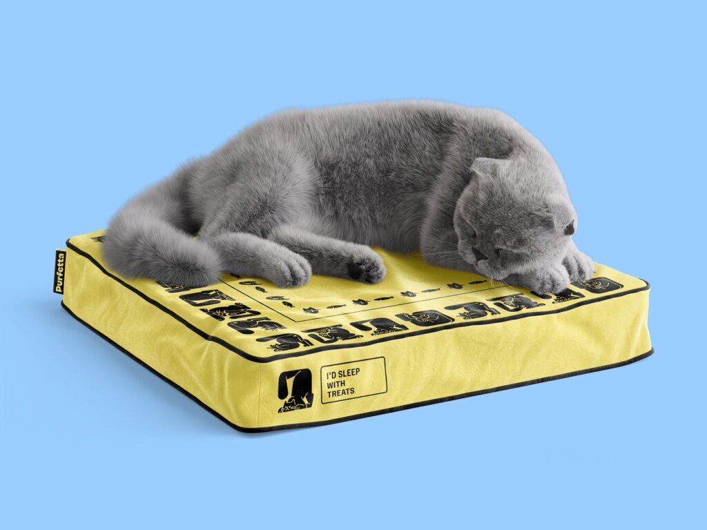 12 Bright Projects on Visual Identity and Packaging Design - Tubik Blog ...